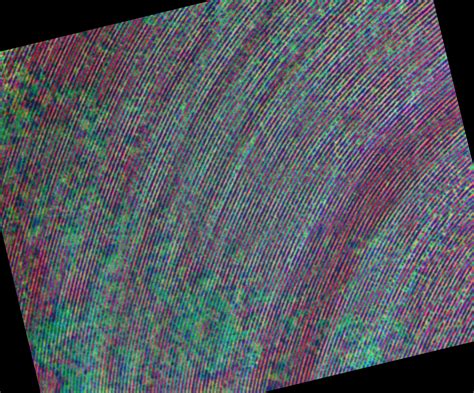 Deseasecottonplant New Object Detection Dataset By Quandong Qian