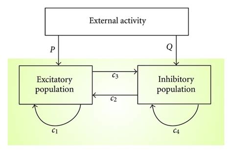 Diagram Of The Wilson Cowan Model Containing Excitatory And Inhibitory Download Scientific