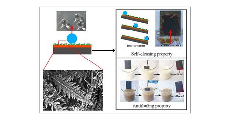 Eco Friendly And Safe Method Of Fabricating Superhydrophobic Surfaces On Stainless Steel