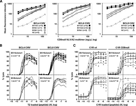 Multimer Binding And Functional Avidity Analysis Of Dominant