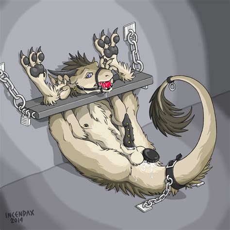 Rule 34 2014 Accessory Anal Anal Sex Anthro Ball Gag Balls Bodily Fluids Bondage Bondage Bound