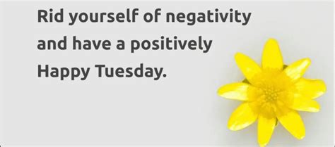 Gonul Zivali Hat Etwas Auf Linkedin Gepostet