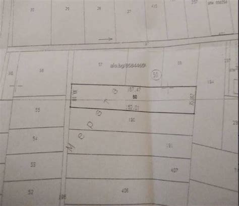 Земеделска земя с Браниполе Земеделска земя 5411 кв м четвърта категория Земеделска зем