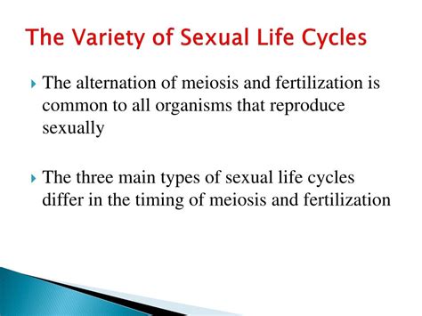 Ppt Meiosis And Sexual Life Cycles Powerpoint Presentation Free