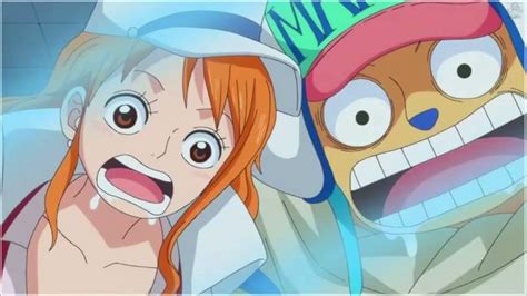 One Piece Chopper Nami At Mason Duckworth Blog
