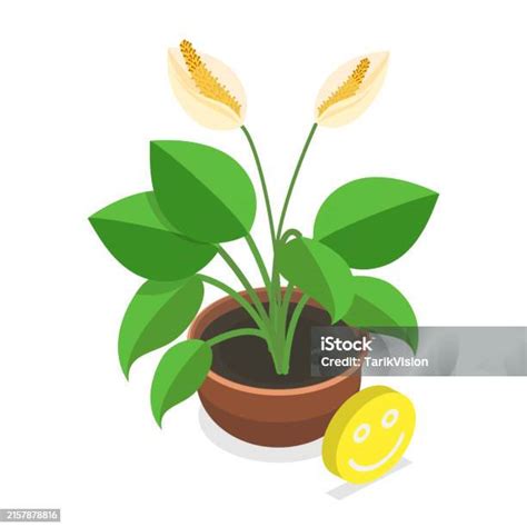 죽어가는 식물의 3d 등각 투영 평면 벡터 그림입니다 항목 5 0명에 대한 스톡 벡터 아트 및 기타 이미지 0명 건조한 꽃 식물 Istock