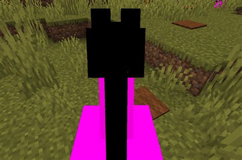 Texture Bug Version 1213 Java Edition Support Support Minecraft Forum Minecraft Forum