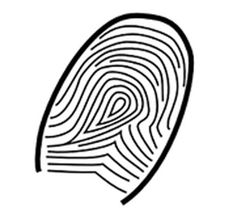 Are Fingerprint Patterns Inherited Science Project