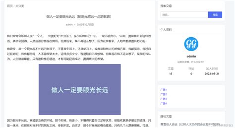Wordpress双标题插件（005版）使用教程wordpress常用插件 Csdn Csdn博客