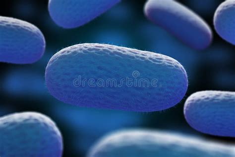 Microscopic View Of Bacillus Bacteria 3d Illustration Stock