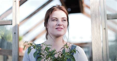 Chilli Plant Immagini Sfoglia 135 Foto Vettoriali E Video Stock