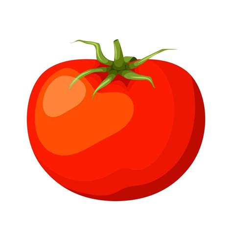 Tomato Cartoon
