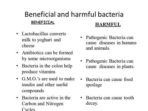 Write Short Note On Useful And Harmful Bacteria At Anthony Klein Blog