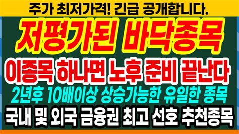 저평가된 상승예상 주가 바닥종목 새빗켐 성일하이텍 코스모화학 이종목 하나면 노후준비 끝난다 국내외 금융권 최고 추천종목 2년 후 10배 이상 상승 가능한 유일한