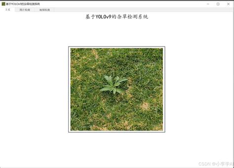 基于yolov9的杂草检测系统 csdn博客