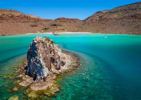 Snorkeling Tours La Paz At Amy Hartzell Blog