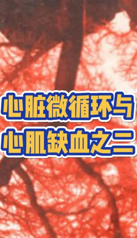 心脏冠脉微循环状态解析