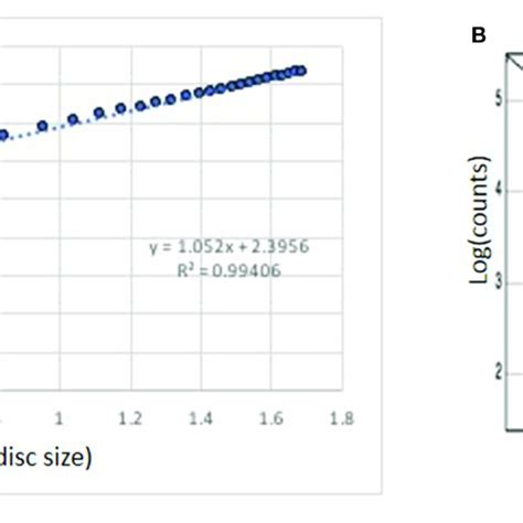 a log log plot of minowski dimension analysis b log log graph of