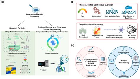 Integrating Computational Design And Experimental Approaches For Next Generation Biologics