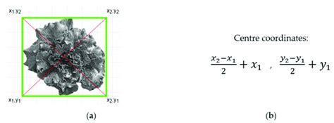 A Schematic Representation Of The Exporting Of The Bounding Boxes
