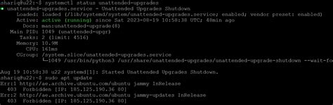 setup automatic updates linux administrator system administrator it