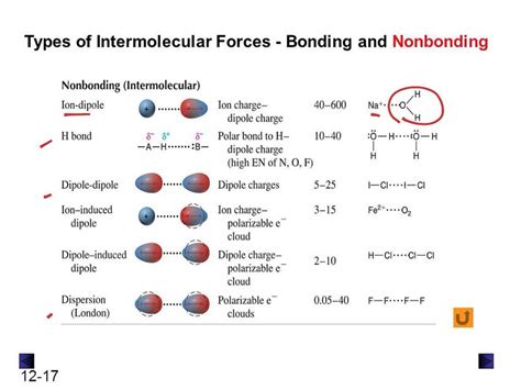 Understanding Intermolecular Forces Pogil Answers Uncovered