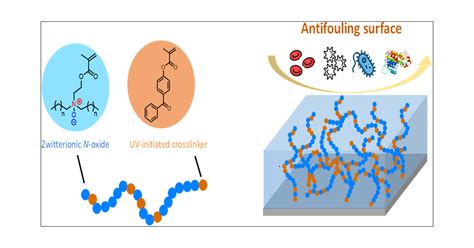 Antifouling Properties Of Amine Oxide Containing Zwitterionic Polymers