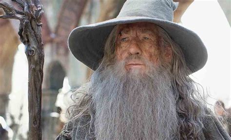 Ian Mckellen Pudo Haber Sido Dumbledore