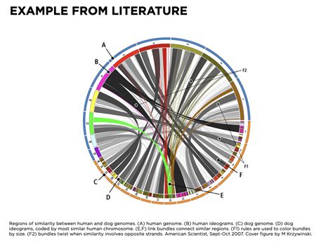 Circos Feature Tour CIRCOS Circular Genome Data Visualization