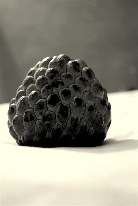 Seetha Palam Anand Sivaji Flickr