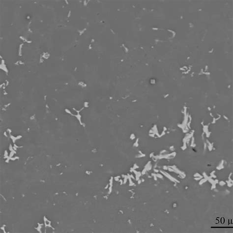 Typical Dendritic Grain Structure Of Cast Al Alloys Scale Shows 250 Mm Download Scientific