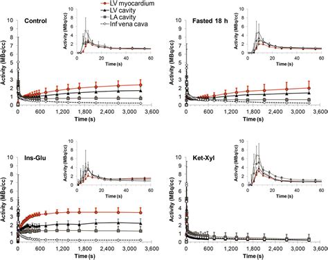 Impact Of Image Derived Input Function And Fit Time Intervals On Patlak Quantification Of