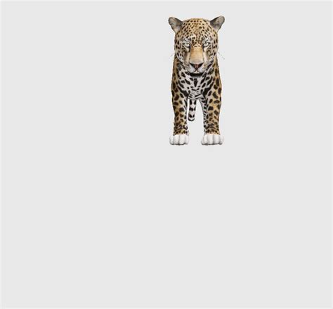 Animationglb Free 3d Models Download And Share Glb Gltf Fbx And Stl Files