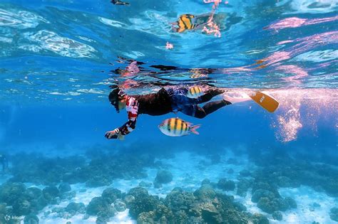 Phuketkhao Lak Premium Tour To Racha Islands With Snorkel And Lunch Klook