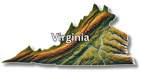 Virginia Llc Operating Agreement