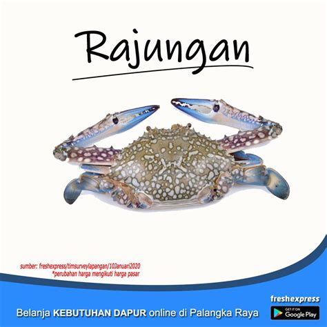 Rajungan 1 Kg Fresh Express