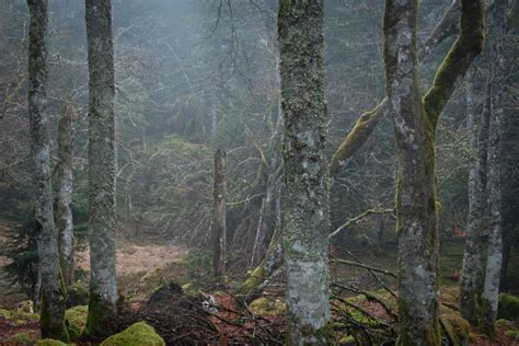 Frédéric Demeuse The Eye Of Photography Magazine