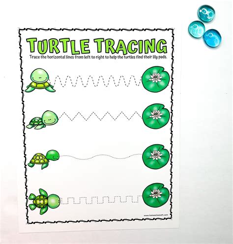 Free Turtle Worksheets For Preschoolers