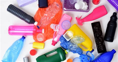 Plastic Packaging Pollution Kelp Is On The Way