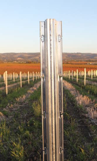 Vineyard Trellis Posts Ocloc By Ocvitti