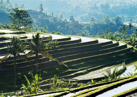 Book Bali Water Temples And Unesco Rice Terraces Full Day Tour Ubud