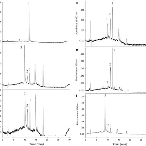 Hplc Analysis Of Carotenoids Extracted From Zeaxanthinproducing E Coli
