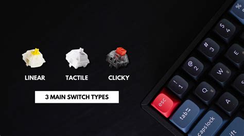 TACTILE CLICKY Or LINEAR A Guide To Mechanical Keyboard Switches Techweeb