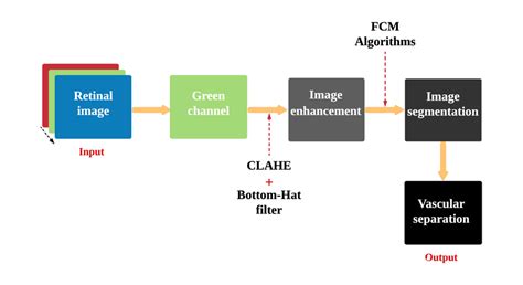 Flowchart Of The Retinal Image Segmentation Phases Download