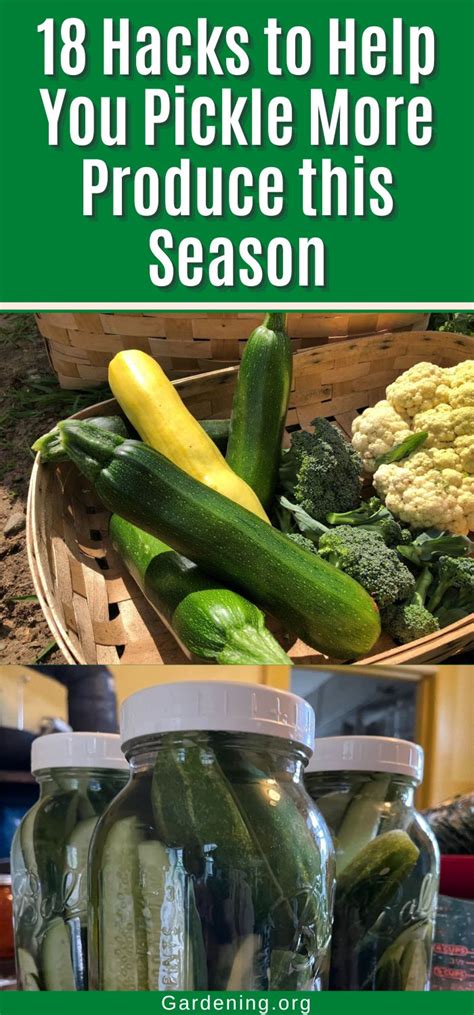 18 Tips To Help You Pickle More Produce This Season Gardening