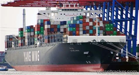 Ym Wellhead Cargo Ship Imo 9684665 Mmsi 563286800 Callsign 9v5010