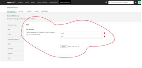 publish mule 4 code review and coverage to sonarqube