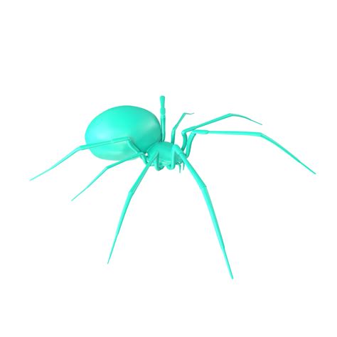 Spider Isolated On Transparent Background Png