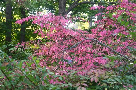 Entering Data In Python Console Or Gui Food Science Institute