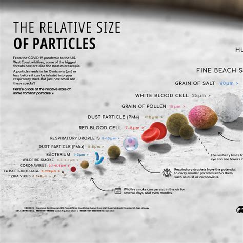 Zooming In Visualizing The Relative Size Of Particles Visual